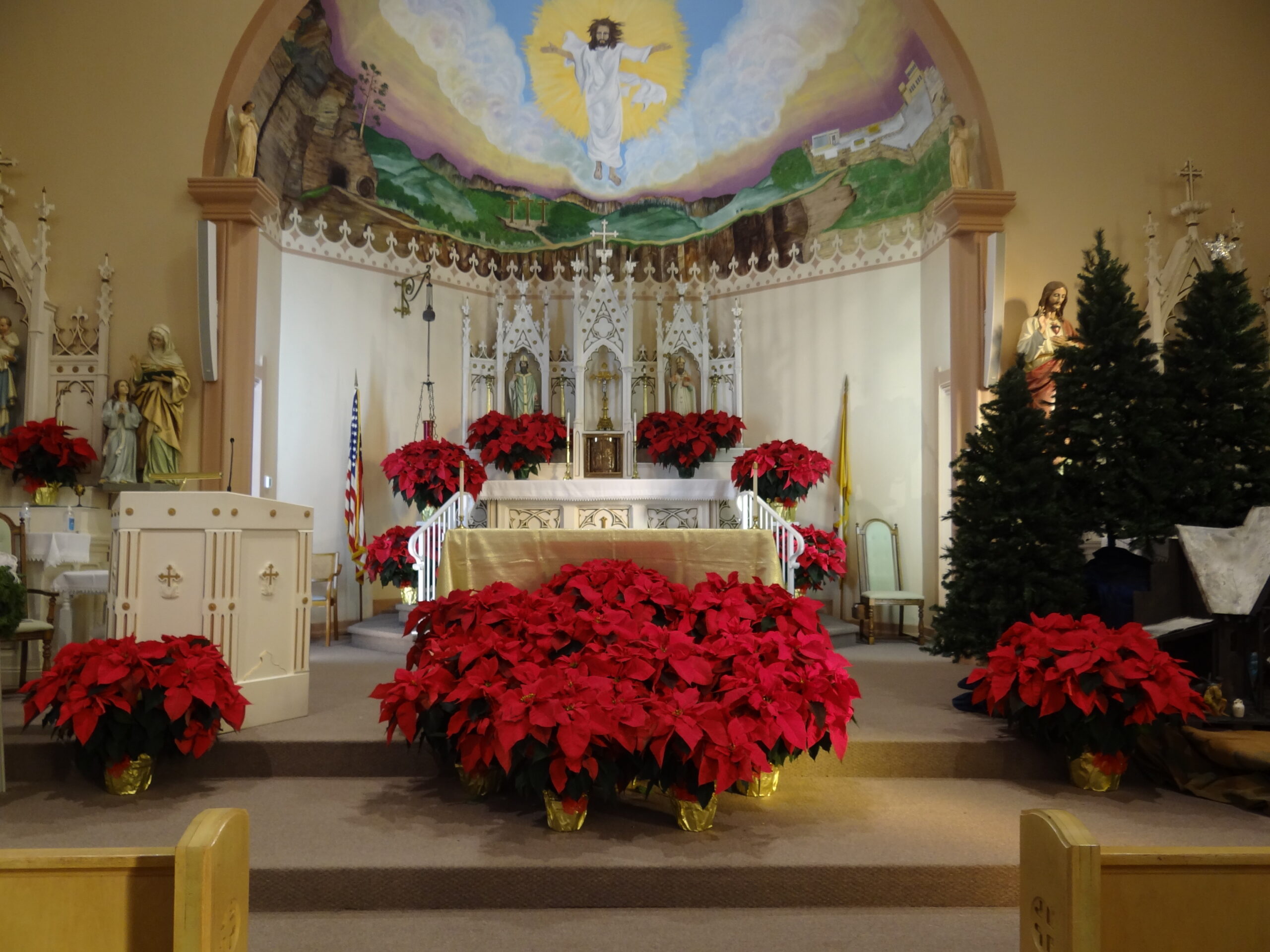 St. Clement Parish Capital Campaign | Steier Group